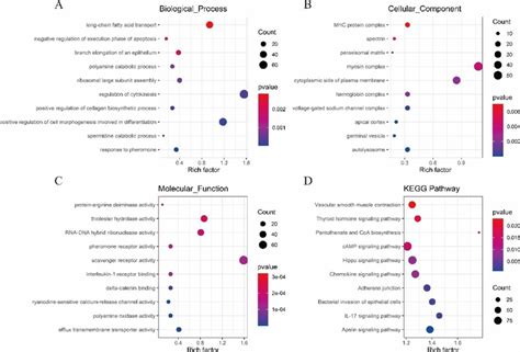 Functional Annotation Of De Lncrna Target Genes A Biological