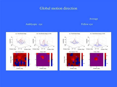 Ppt Global Visual Perception Powerpoint Presentation Free Download