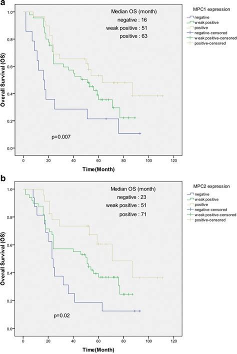 Mpc1 And Mpc2 Expressions Are Associated With Favorable Clinical