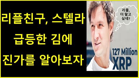 리플친구 스텔라의 급등에만 주목하지 말고 진가를 공부해봅시다 스텔라 도지 리플 바이낸스 Sec 비트코인 이더리움 재테크 뉴스 블랙록 테슬라 머스크 폴리곤 에이다 솔라나