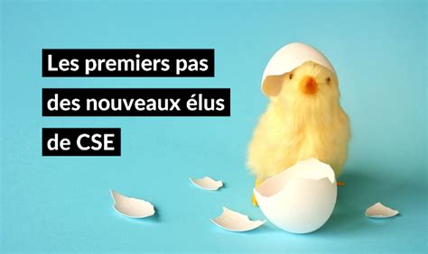 Officiel Cse Est Le Site N°1 Des Comités Sociaux Et économiques Il Permet De Trouver Les