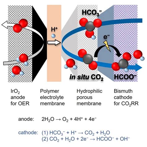New Electrochemical Cell For R [image] Eurekalert Science News Releases