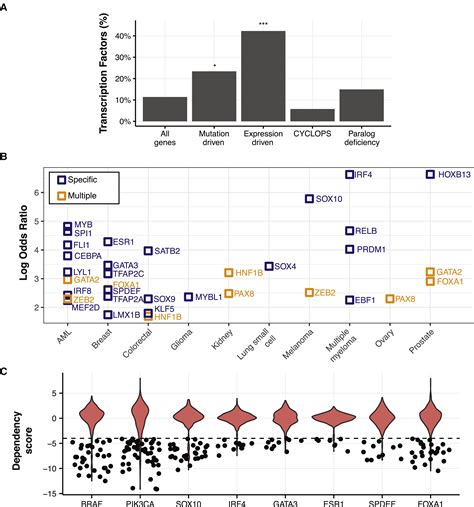 Defining A Cancer Dependency Map Cell