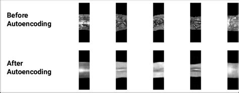 An Example Of The Input Images Fed Into The Autoencoder And The