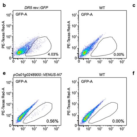 the cell sorting based nano scale pipeline for isolate and proteomic