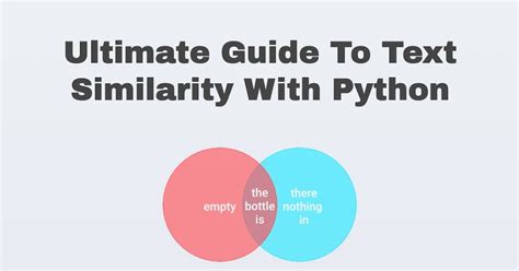 Ultimate Guide To Text Similarity With Python Rpython