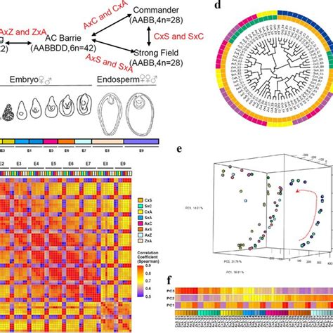Transcriptome Wide Landscape Of Gene Expression Profiles During