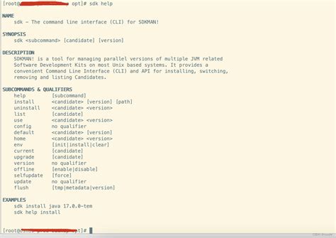 升级程序到java21的记录一（先升级jdk到21）jdk17升级21 Csdn博客
