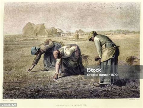 이삭 줍는 사람들 Jeanfrançois Millet 빈티지 일러스트레이션 19 세기 스타일 이후 수확 후 밀 줄기를 모으는 세 명의 농부 여성 19세기에 대한 스톡 벡터