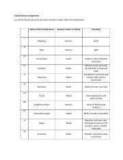 Complete Guide To Cranial Nerves Functions Names And Numbers Course Hero