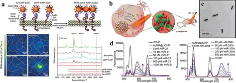 A Sers‐active Au Np Dimers For Cellular Imaging B Scheme Of Au