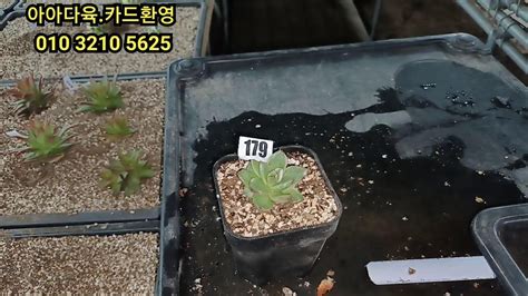 5월22일 2부 겔랑찐안동녹금 샤넬 등등 굿모닝 Youtube