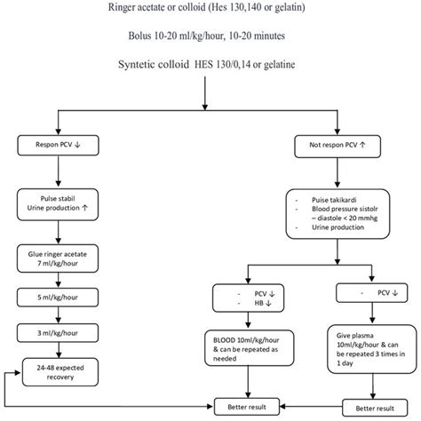 Algorithm For Fluid Management In Compensated Shock Who 2009 With