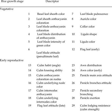 List Of Parameters Gathered At Different Rice Growth Stages Download Scientific Diagram