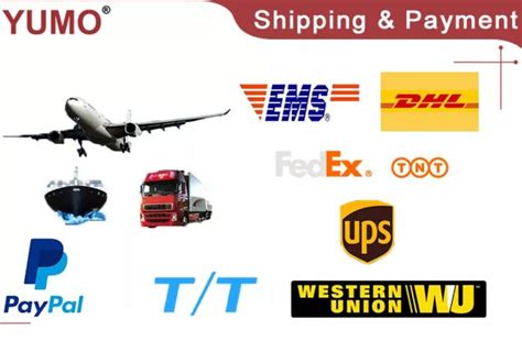optical solid shaft incremental rotary encoder china encoder and