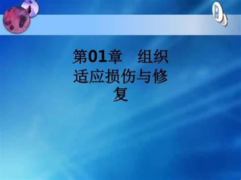 1绪论适应损伤 Ppt文档资料 文档之家 1绪论适应损伤 Ppt文档资料 文档之家