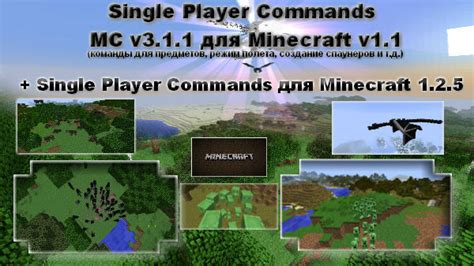 Нажимаем T и пишем к примеру Fly режим полета включен кнопки