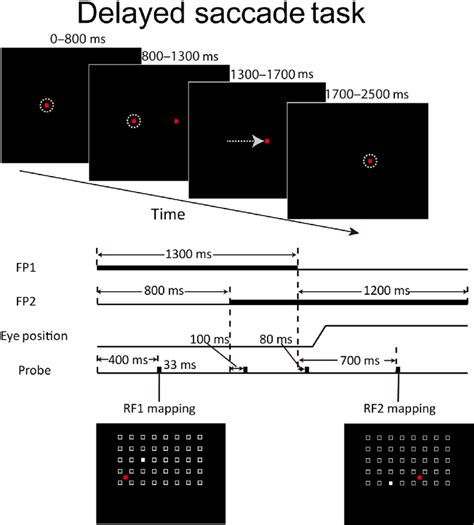 the delayed saccade task upper panel the temporal sequence of the