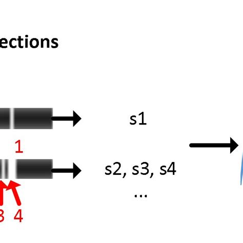The Algorithm Workflow From Vein Pattern To Sequence Of Points