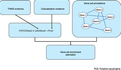 Intact Workflow The Diagram Represents The Overall Workflow Of Intact