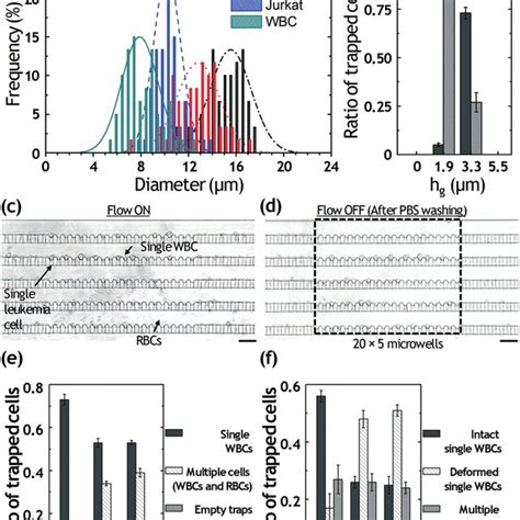 Cell Size Characterization And Single Cell Trapping Efficiency