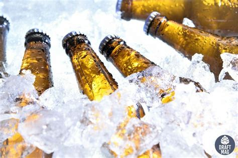 Difference Between Lager And Pilsner A Guide To These Beer Types