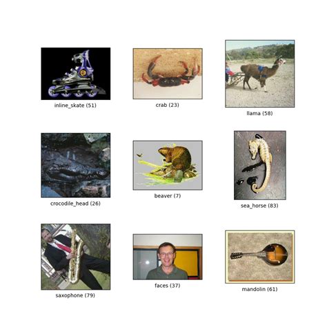 datasets docs catalog caltech101 md at master · tensorflow datasets