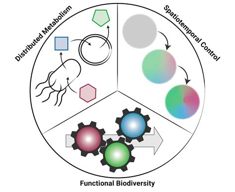 About Microbiome Engineering Ebrc Research Roadmap