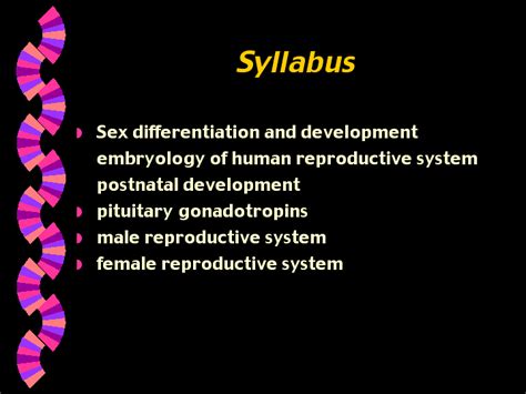 Syllabus