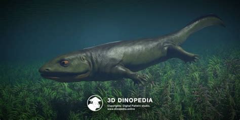 Pederpes 3d Dinopedia