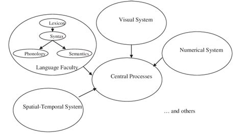 Psychological Modularity Download Scientific Diagram