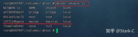 【一文讲透】docker容器使用ipv6网络的终极方案:搭建macvlan网络模式实现ipv4andipv6双通 知乎 【一文讲透】docker容器使用ipv6网络的终极方案:搭建macvlan网络模式实现ipv4andipv6双通 知乎