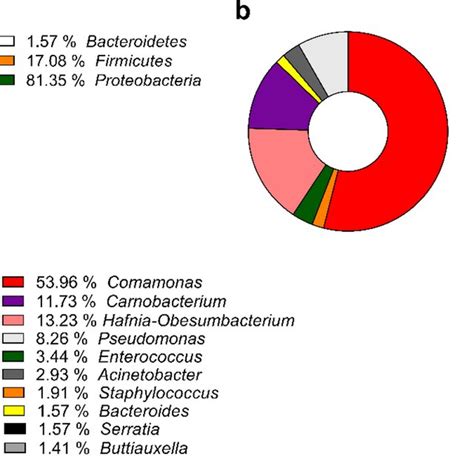 Relative Abundance Distribution Of Major Phyla A Families B