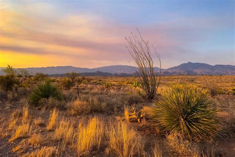 Vail Az Suburban Real Estate Group