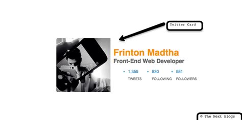 Simple Twitter Profile Card Using Html And Css The Next Blogs