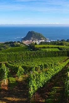 The Guv'nor Wines - Offers & Deals July 2025