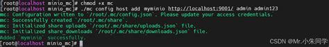 【软件安装】linux服务器上安装minio client客户端（mc命令工具） csdn博客