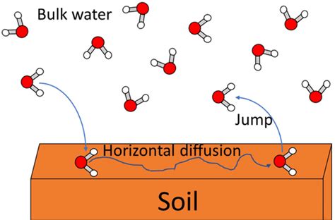Movement Of Water Molecules In Soil The Horizontal Diffusion Is Download Scientific Diagram