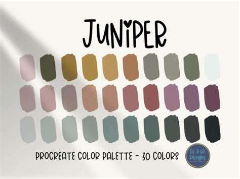 Juniper Procreate Color Palette Graphic By Ssandcodesigns · Creative