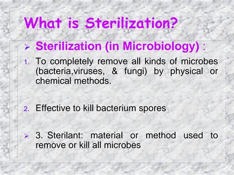 SOLUTION Control Of Microorganisms Studypool