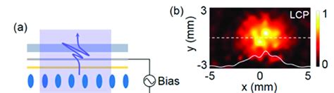 The Polarization Conversion Efficiency At Different Liquid Crystal