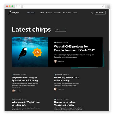 Wagtail Nick Lee Web User Experience Designer Based In Cornwall