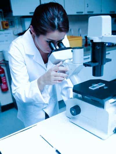 Facts About Rabies Cats Herd You