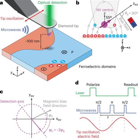 Naturally Occurring Ferroelectric Domain Pattern In Hexagonal Ymno3 A