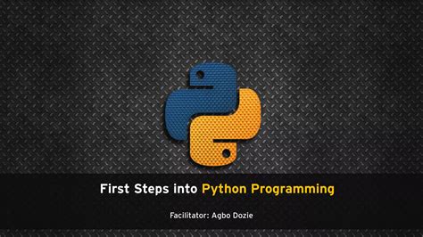 First Steps In Python Programming Ppt