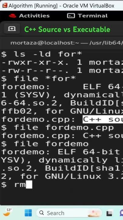 C Source Vs Executable Youtube