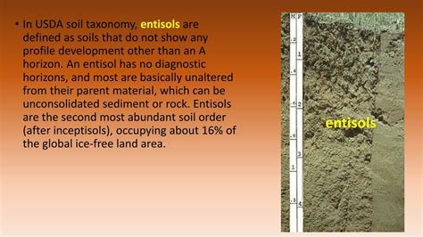 Ppt The Geography Of Soils Powerpoint Presentation Free Download