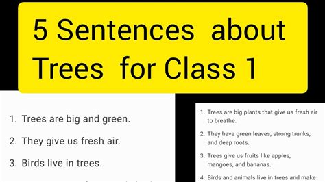 5 Sentences About Trees For Class 15 Lines On Trees For Class 1