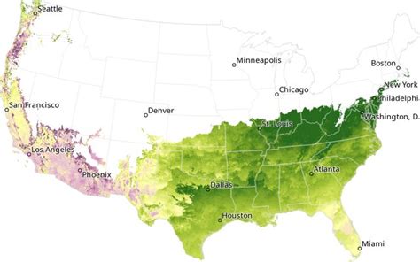 Leaf Index Anomaly Map Climate Lab Observable