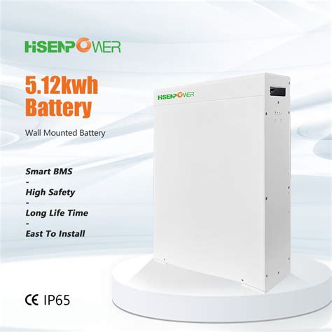 Home Energy Storage Lithium Ion Phosphate Battery Wall Mounted Battery